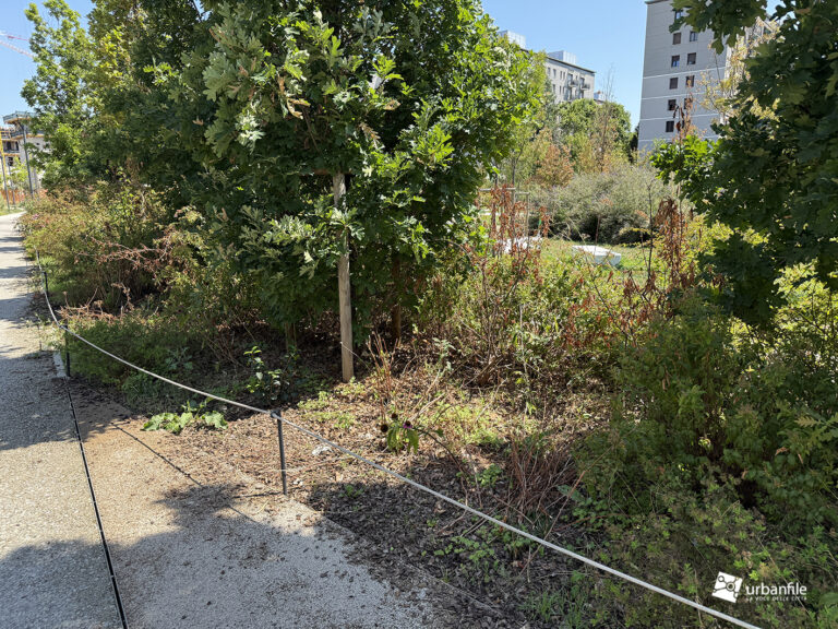 Milano | Porta Vittoria – Questo è il Parco 8 Marzo dopo 2 anni e mezzo ...